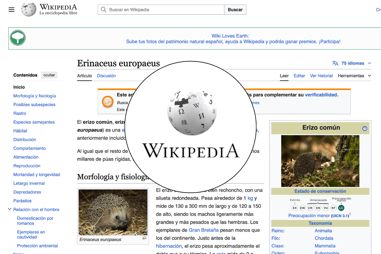 The Wiki Game: el juego de navegar por Wikipedia - Marketing4all